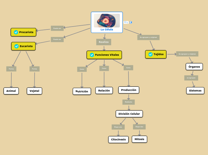 La Célula - Mind Map