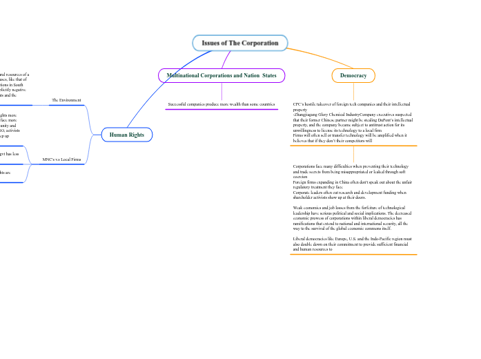Issues of The Corporation - Mind Map