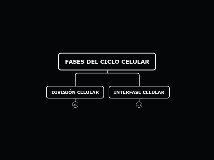 FASES DEL CICLO CELULAR - Mind Map