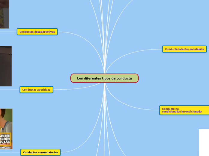 Los diferentes tipos de conducta - Mind Map
