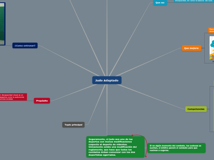 Judo Adaptado - Mind Map