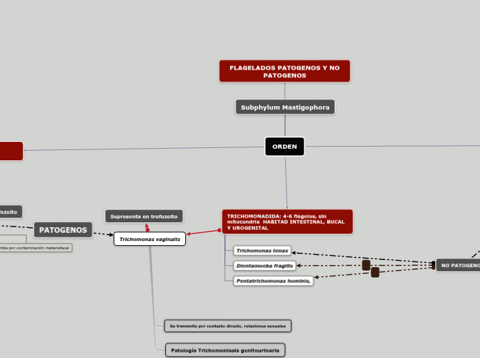 ORDEN - Mind Map