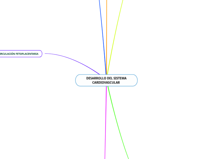 DESARROLLO DEL SISTEMA CARDIOVASCULAR - Mind Map