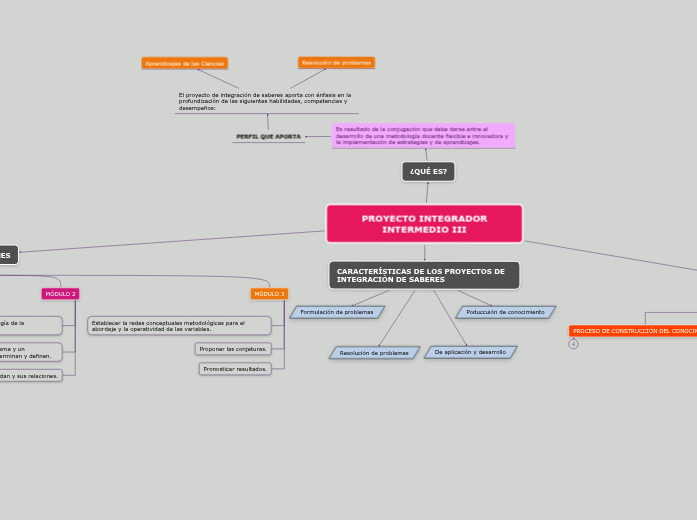 PROYECTO INTEGRADOR INTERMEDIO III - Mind Map