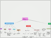 El islam - Mind Map
