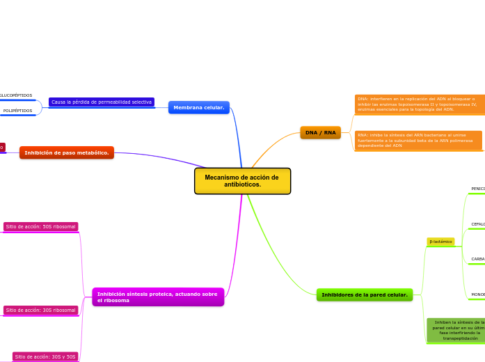 Mecanismo de acción de antibioticos. - Mind Map