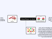 From Flower to Seed - Mind Map