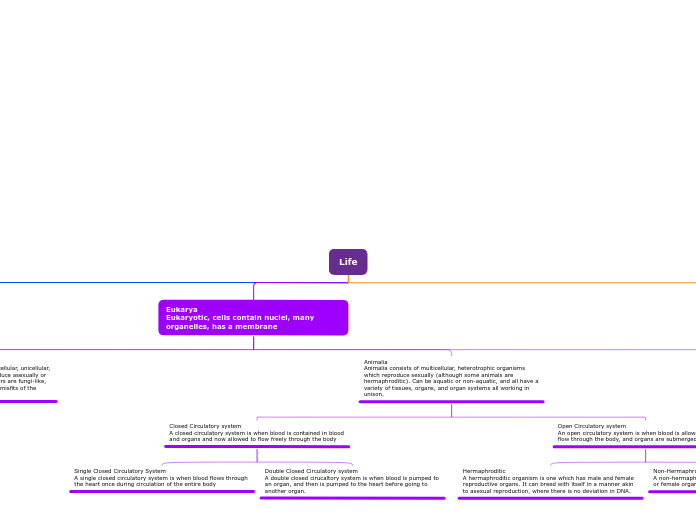 Organigram - Mind Map