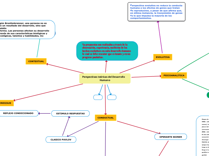 Perspectivas teóricas del Desarrollo Hu...- Mind Map