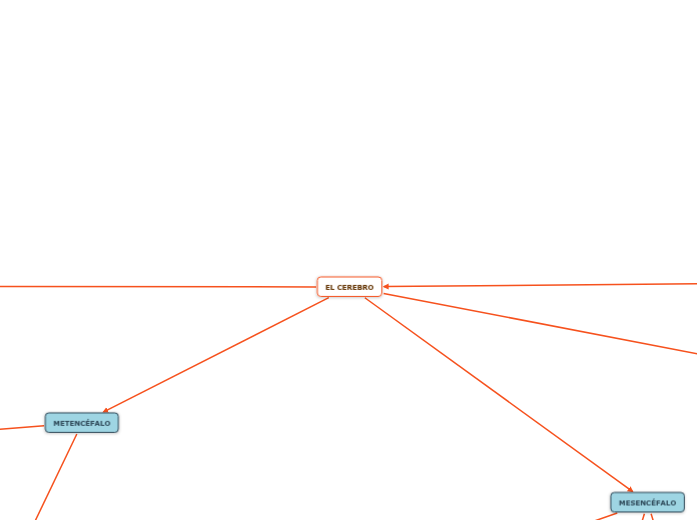 SEMANA 6 DE DESARROLLO EMBRIONARIO - Mind Map