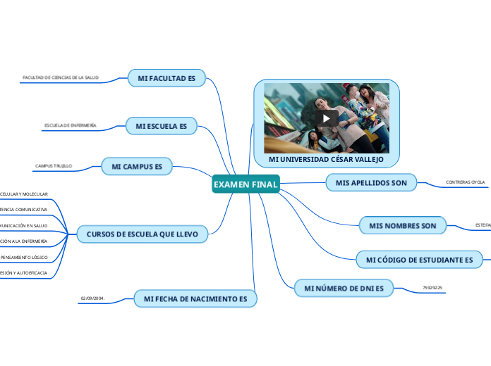 EXAMEN FINAL - Mind Map