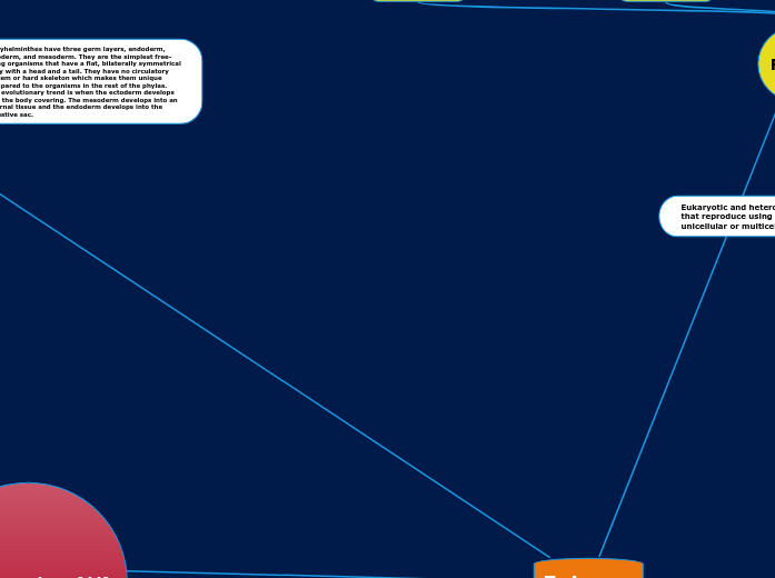 Three Domains of Life - Mind Map