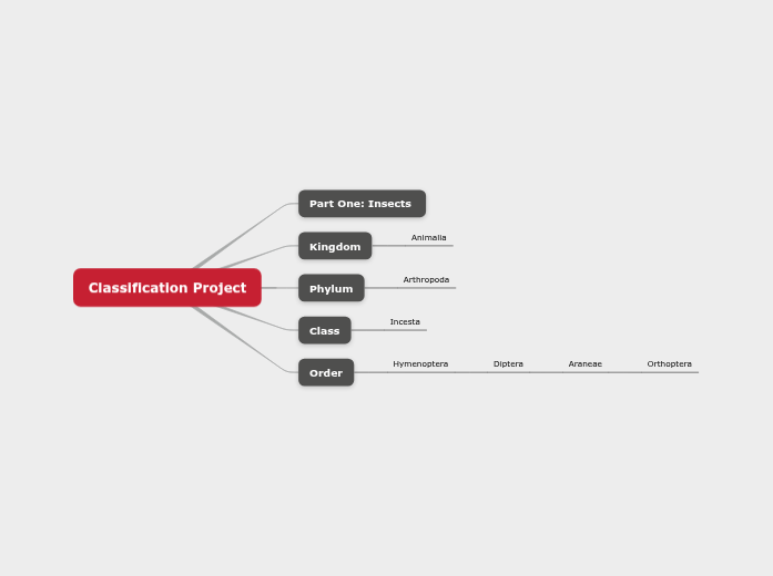 Classification Project - Mind Map