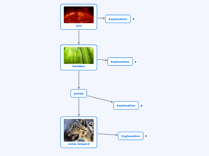 panda food chain - Concept Map