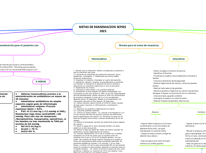 METAS DE REANIMACION SEPSIS 2023 - Mind Map