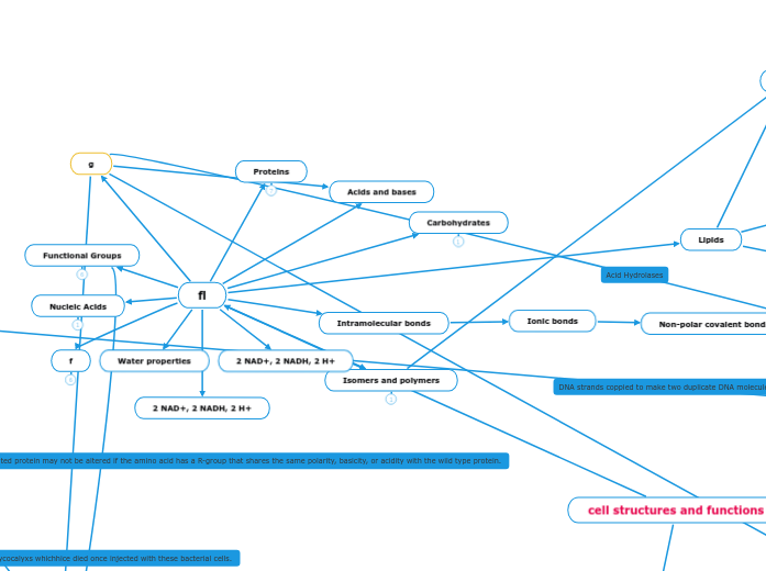 fl - Mind Map