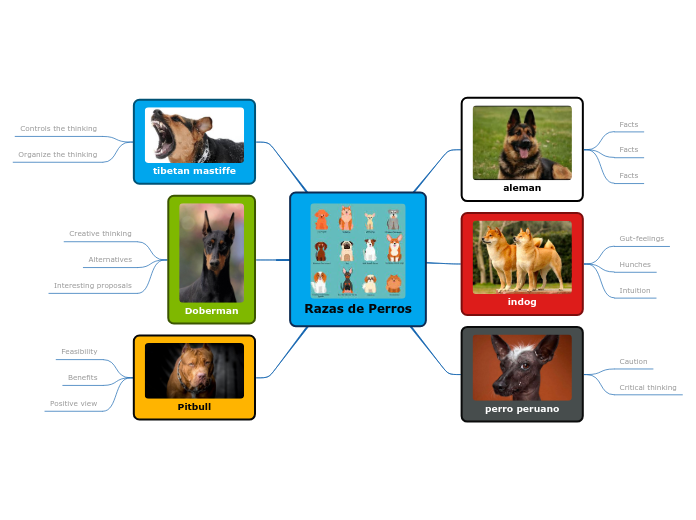 Razas de Perros - Mind Map