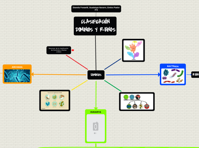 DOMINIOS y REINOS - Mind Map