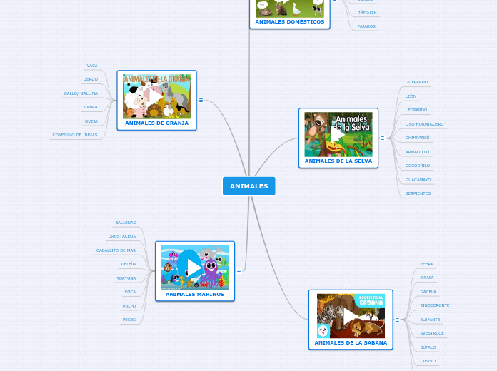 ANIMALES - Mind Map