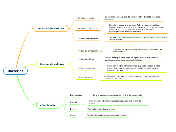 Bacterias - Mind Map