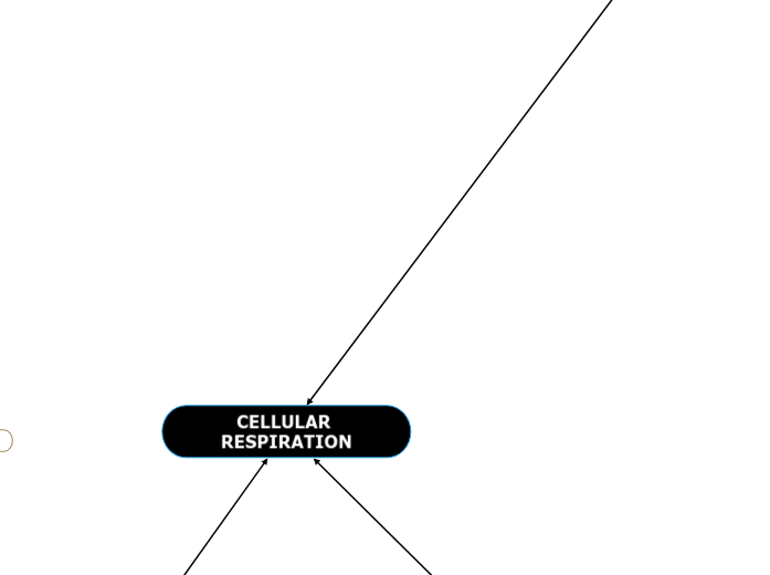 Cellular Respiration Mind Map - Mind Map