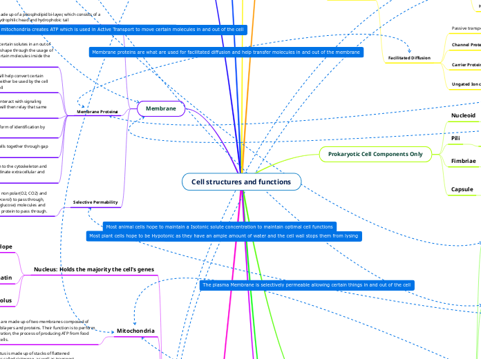 Cell structures and functions - Mind Map