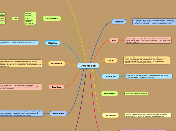 Inflamacion - Mind Map