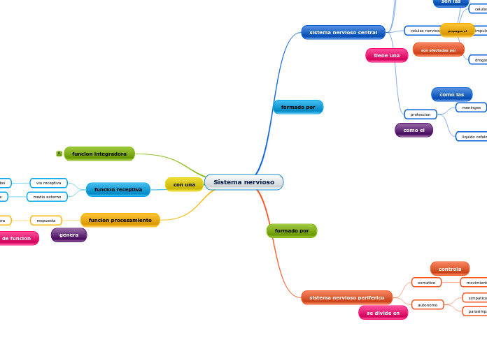 Sistema nervioso - Mind Map