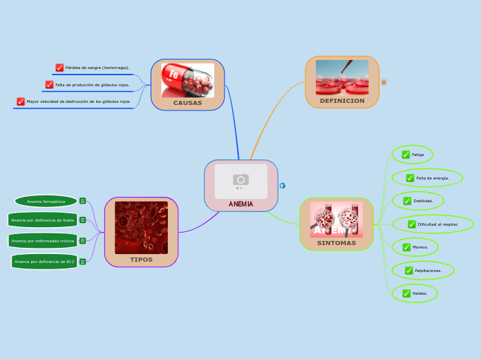 ANEMIA - Mind Map