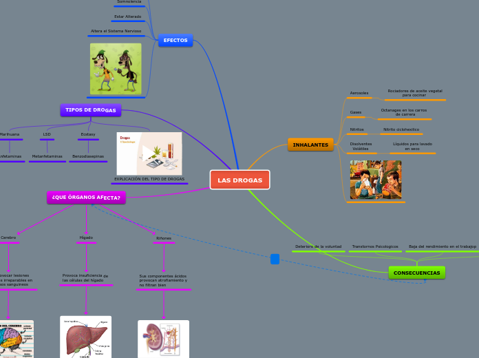 LAS DROGAS - Mind Map