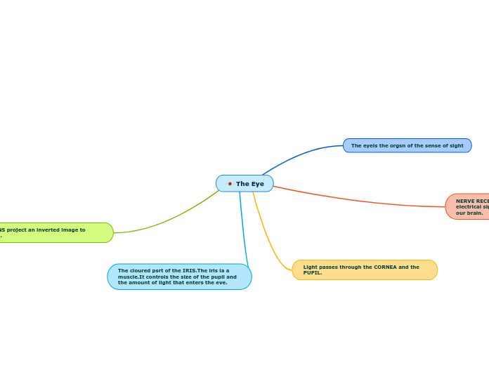 The Eye - Mind Map