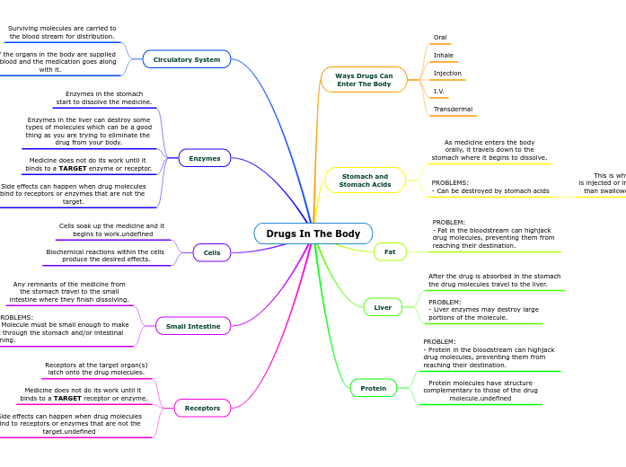 Drugs In The Body - Mind Map