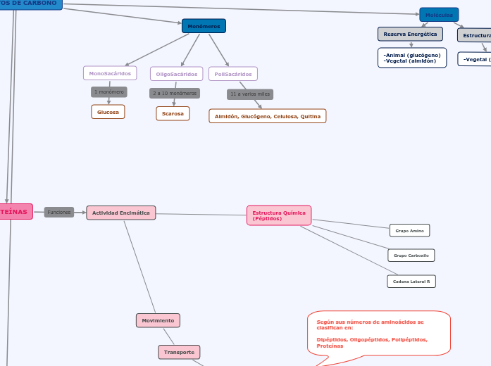 Bioelementos Biomoléculas - Mind Map