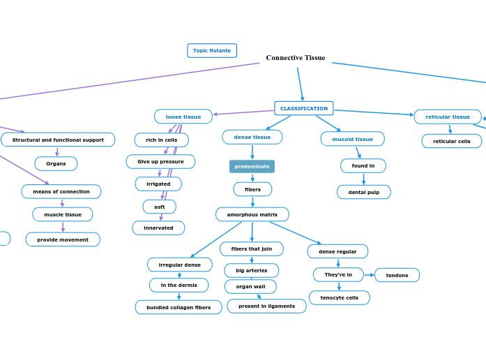Connective Tissue Concept Map