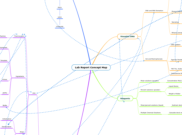 Lab Report Concept Map - Mind Map