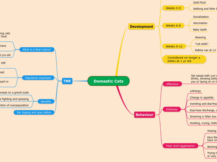 Domestic Cats - Mind Map