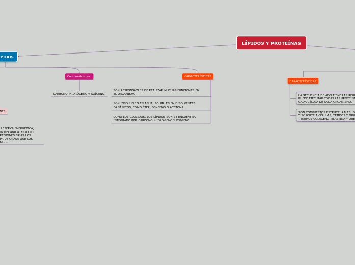 LÍPIDOS Y PROTEÍNAS - Mind Map