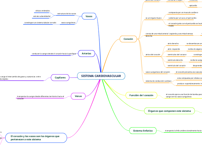 SISTEMA CARDIOVASCULAR - Mind Map
