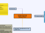 INTRACELLULAR STRUCTURES OF PROKARYOTES - Mind Map
