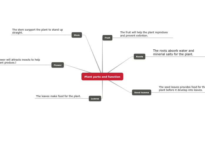 Plant parts and function - Mind Map