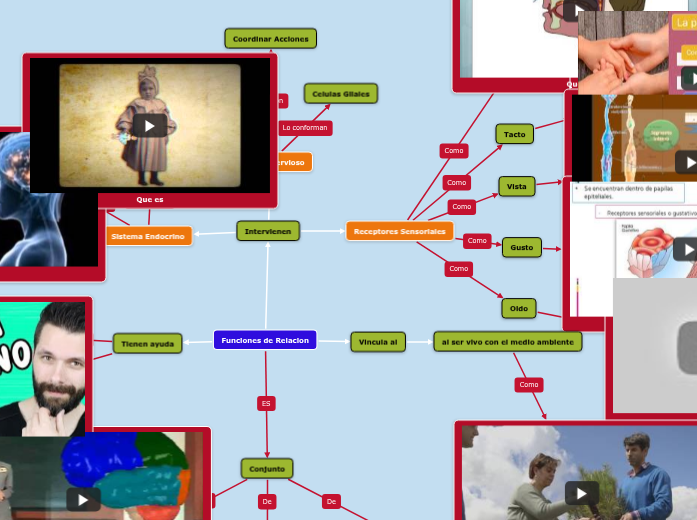 Funciones de Relacion - Mind Map