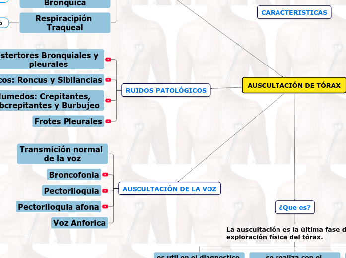 AUSCULTACIÓN DE TÓRAX - Mind Map