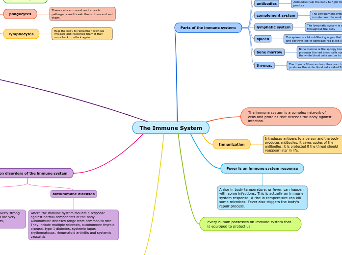 The Immune System - Mind Map