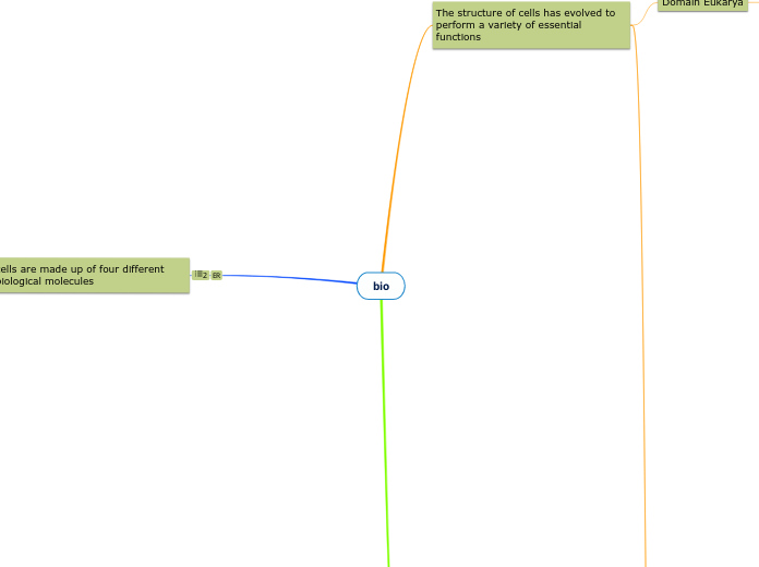 bio - Mind Map