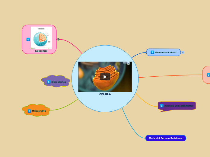 CELULA - Mind Map