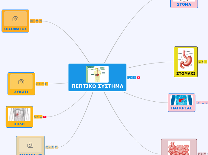 ΠΕΠΤΙΚΟ ΣΥΣΤΗΜΑ | Mindomo Mind Map