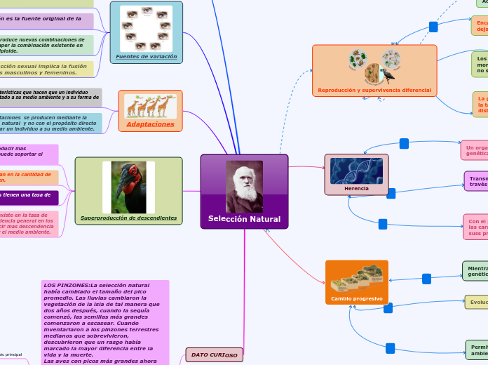 Selección Natural - Mind Map