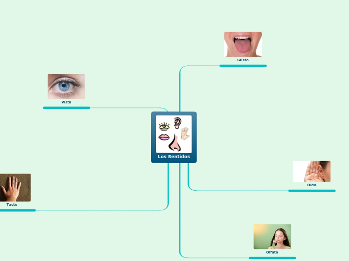 Los Sentidos - Mind Map