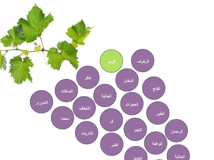 Grapes brainstorming - Mind Map