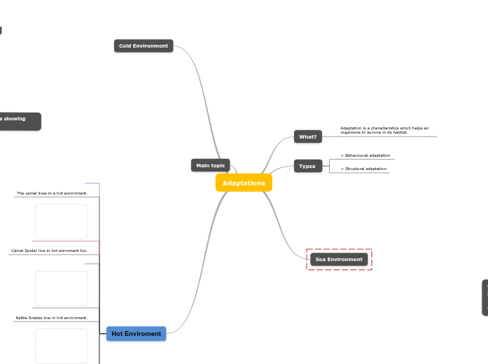 Adaptations - Mind Map